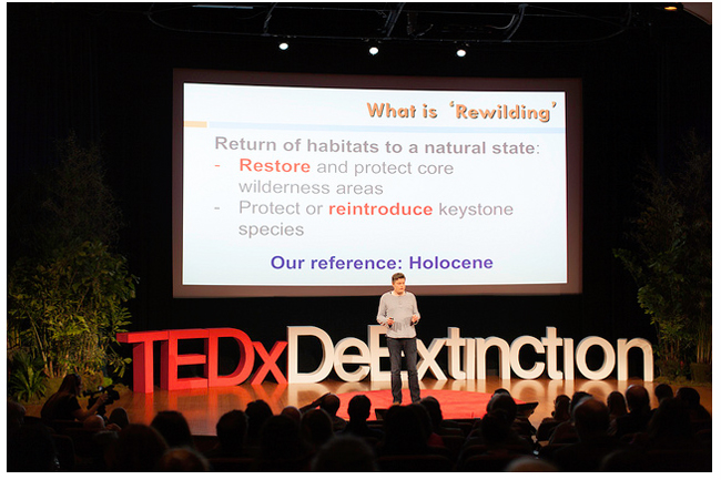 EPS Foam Lettering| Styrofoam, EPS & Polystyrene blocks, sheets and ...